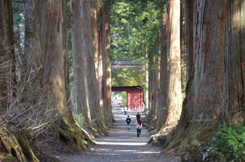 1-Day Togakushi: Soba Making, Ninja Town and Hidden Shrines - Soba Making Experience