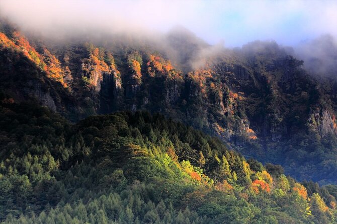 1-Day Togakushi Tour: Soba Making, Ninja Town, and Hidden Shrines - Ninja Museum Adventure