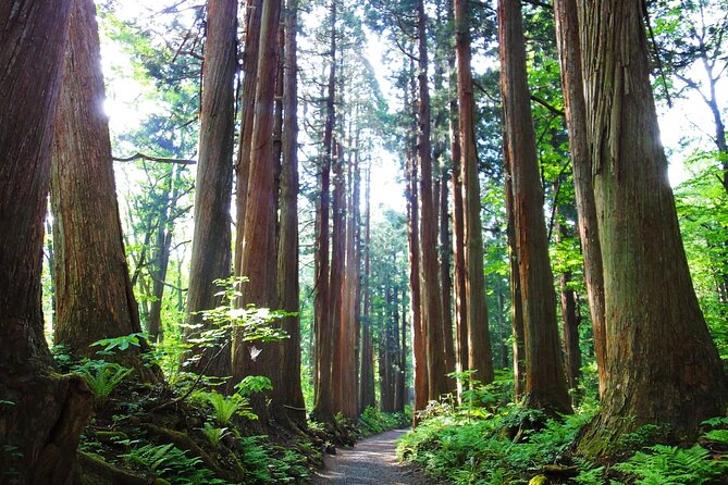 1-Day Togakushi Tour: Soba Making, Ninja Town, and Hidden Shrines - Soba Noodle Lunch