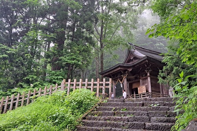 1-Day Togakushi Tour: Soba Making, Ninja Town, and Hidden Shrines - Giant Cedar Avenue and Legends