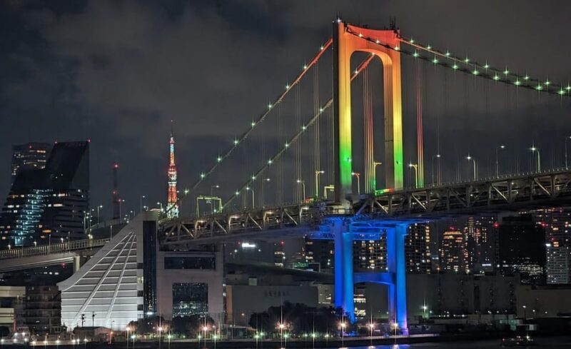 1-Day Tokyo Essence: Temples, Towers & Tradition Tour - Accessibility and Language