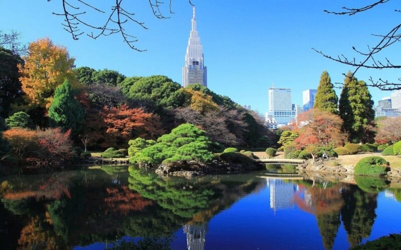 1-Day Tokyo Essence: Temples, Towers & Tradition Tour - Exploring Tokyo Tower