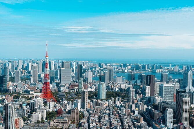 1 Day Tokyo Private Custom Tour - Introduction