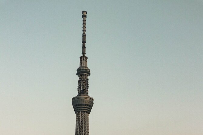 1 Day Tokyo Private Tour With English Speaking Guide - Inclusions and Exclusions