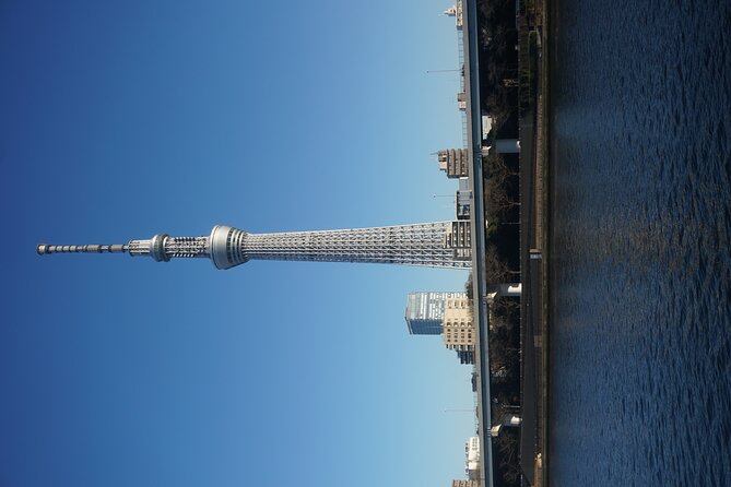 1 Day Tokyo Private Tour With English Speaking Guide - Customer Reviews and Ratings