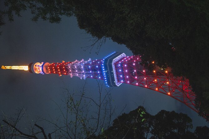 1 Day Tokyo Private Tour With English Speaking Guide - Considerations for Travelers