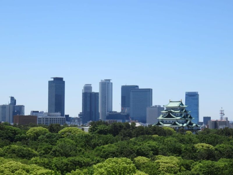 1-Day Tour: Eat Like a Local in Nagoya - Itinerary Highlights