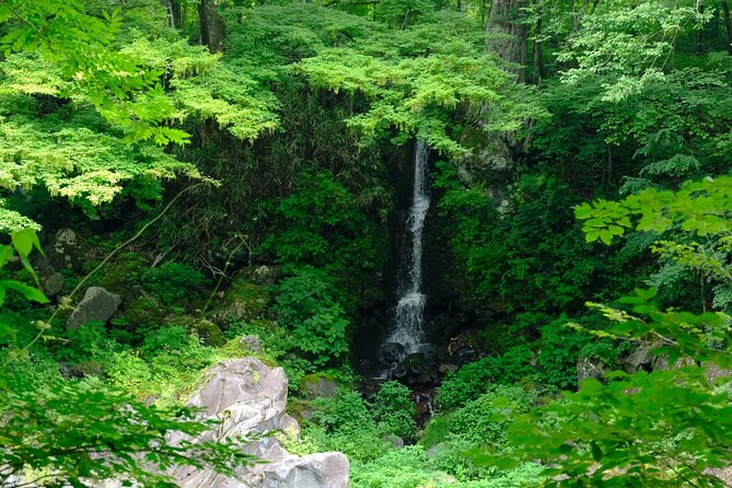 1 Day Tour Explore Nikko's World Heritage and National Park - Tour Accessibility and Participation