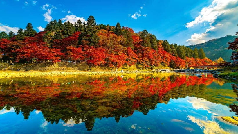 1-Day Tour from Nagoya: Korankei Gorge & Inari Fox Shrines - Key Points