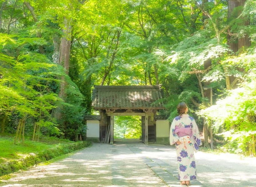 1-Day Tour from Nagoya: Korankei Gorge & Inari Fox Shrines - An In-Depth Look at the Tour Experience