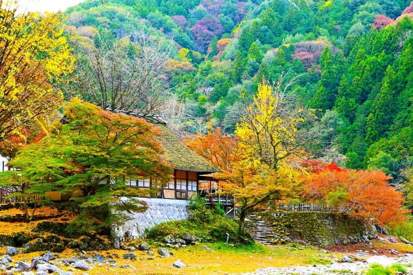 1-Day Tour from Nagoya: Korankei Gorge & Inari Fox Shrines - Who Will Love This Tour?