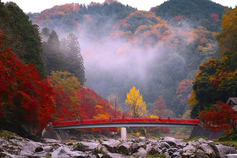 1-Day Tour from Nagoya: Korankei Gorge & Inari Fox Shrines - The Sum Up