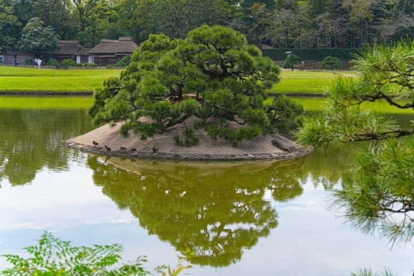 1-Day Tour from Okayama: Kurashiki, Gardens & Okayama Castle - Who Is This Tour Best Suited For?