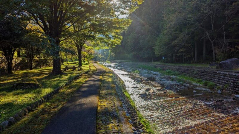 1-Day Tour From Takayama: Unveiling the Charm of Gero Onsen - Onsen Museum: Insights Into Therapeutic Waters