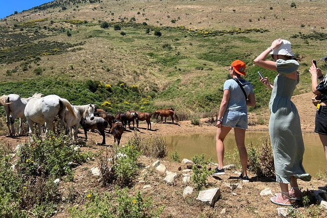 1-Day Tour in Blue Eye, Monastery, Gjirokaster and Lekursi Castle - FAQs