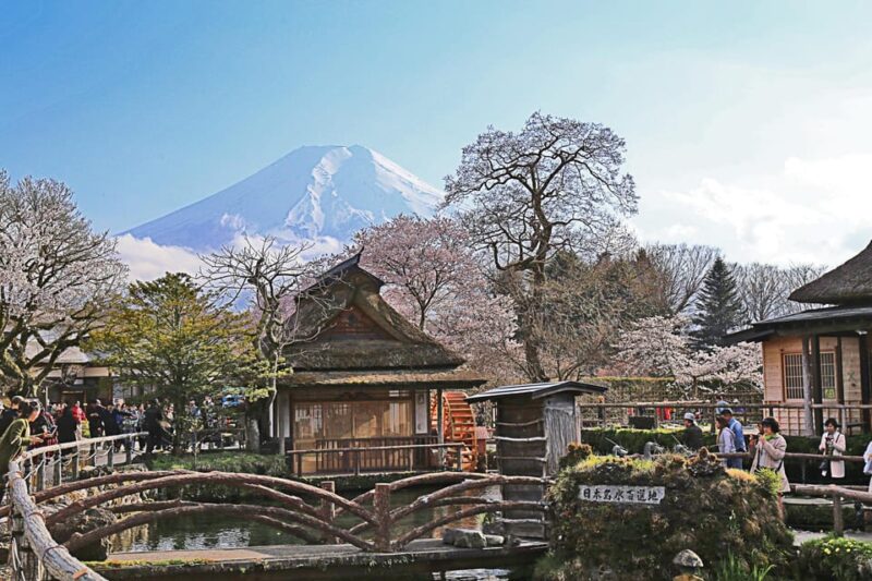1 Day Tour : Mount Fuji and Hakone - Tour Experience and Activities
