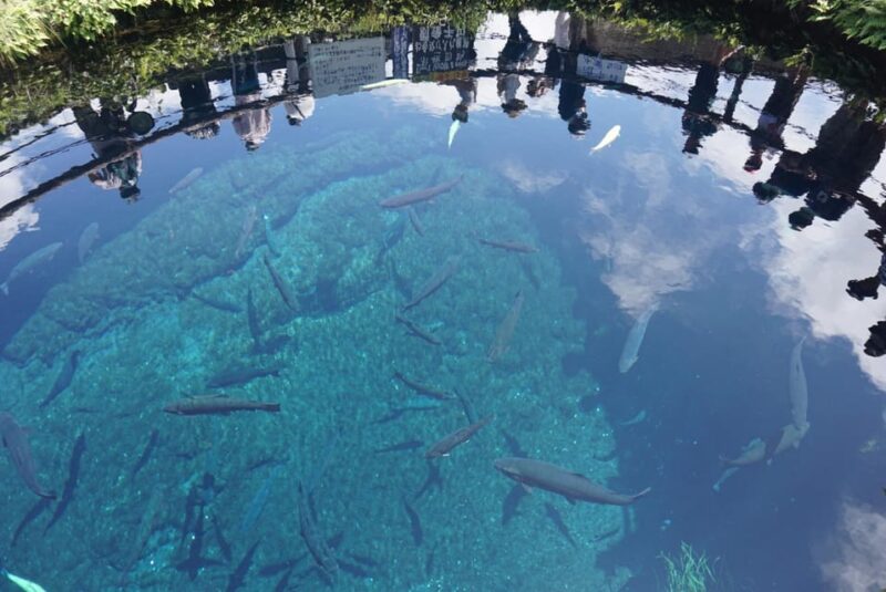 1 Day Tour : Mount Fuji and Hakone - Weather and Attire Considerations