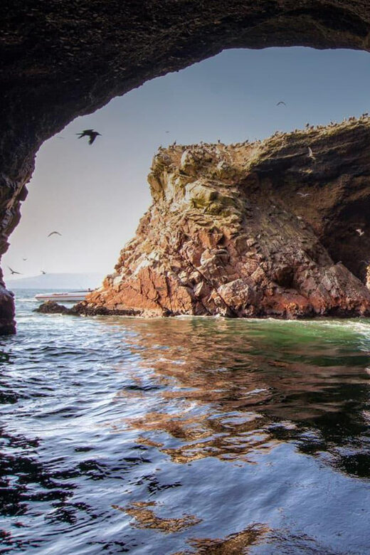 1-Day Tour to Ballestas and the Paracas National Reserve - FAQ