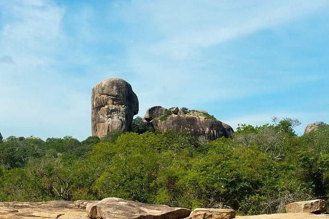 1 Day tour to Yala National Park or Udawalawe National Park - Details on Transportation, Timing, and Group Size
