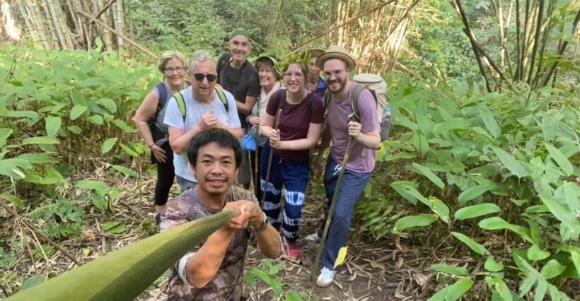 1 Day trekking : Chiang Rai popular activity,Fun in Nature. - Key Points