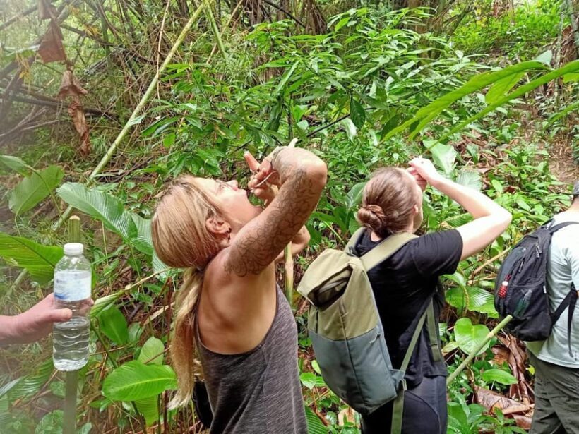 1 Day trekking : Chiang Rai popular activity,Fun in Nature. - Cooking Lunch in a Bamboo Hut