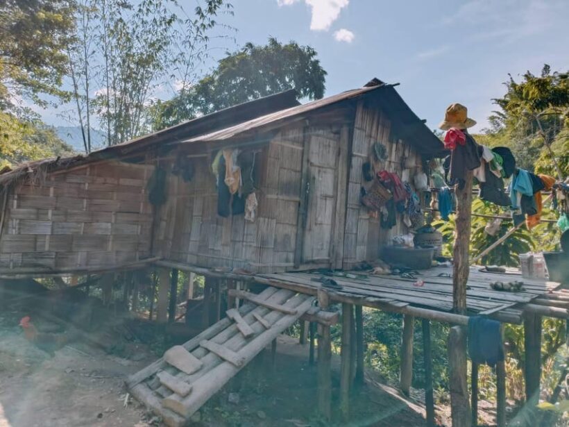1 Day trekking : Chiang Rai popular activity,Fun in Nature. - Waterfalls, Tea Plantations, and Hot Springs