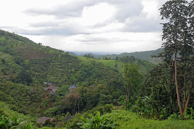 1 Day Trekking Group Tour With Bamboo Cooking / Chiang Rai - Walking Through the Landscape