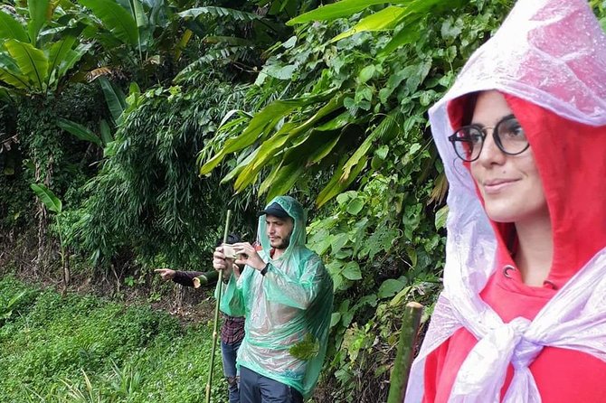 1 Day Trekking Group Tour With Bamboo Cooking / Chiang Rai - Real Experiences from Travelers