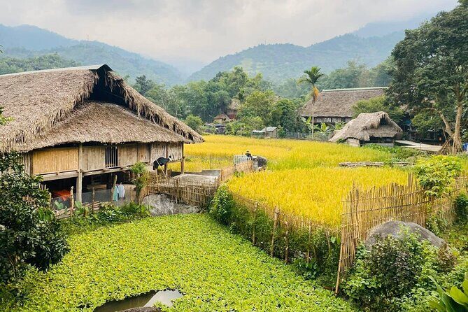 1 Day Trekking Tour in Ha Giang with Local Experts - A Deep Dive into the Ha Giang Trekking Experience