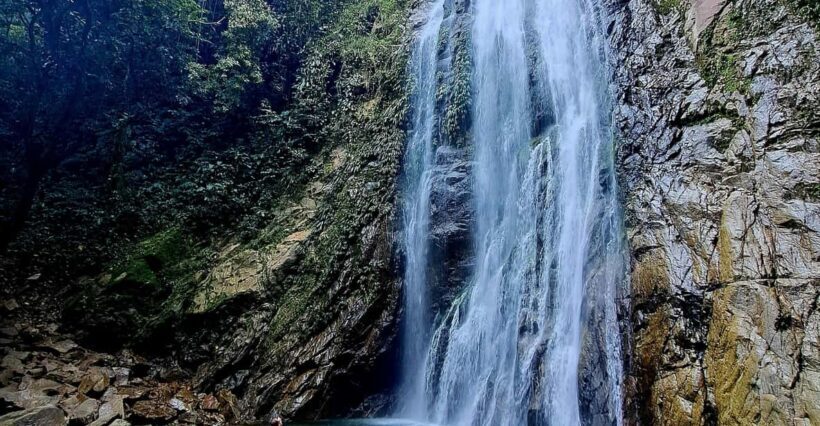 1-Day Trip from Medellín: Paragliding & Swim in Waterfall - Key Points