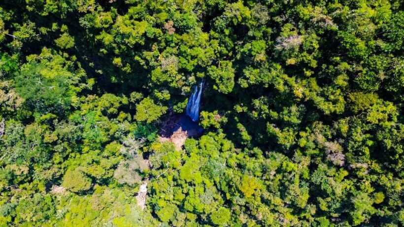 1-Day Trip from Medellín: Paragliding & Swim in Waterfall - The Sum Up