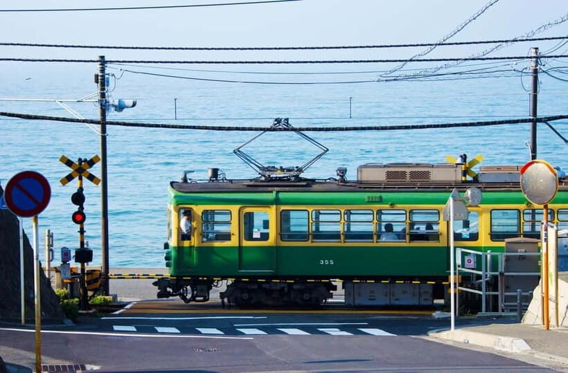 1-Day trip: Kamakura City (Enoshima/Shonan/Beach) - An In-Depth Look at What to Expect