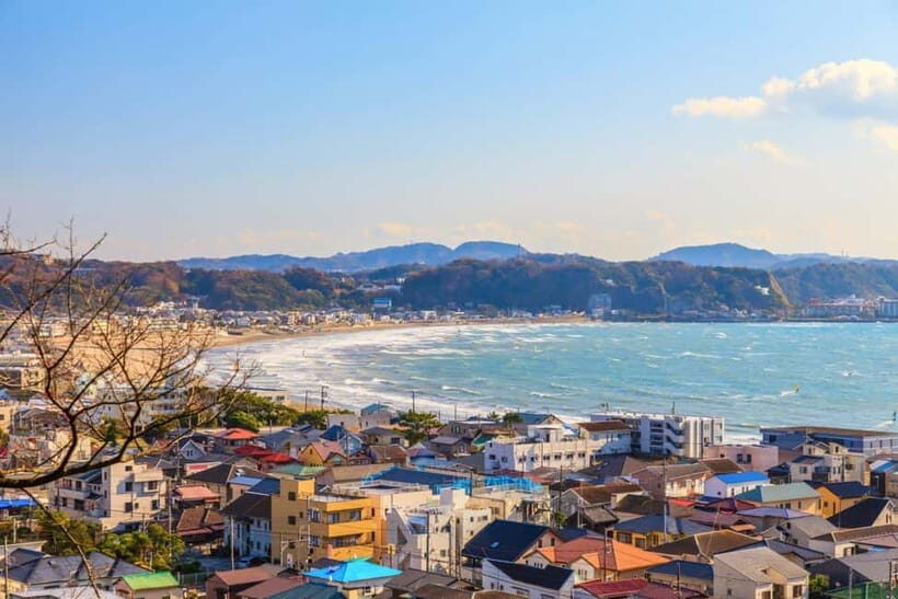 1-Day trip: Kamakura City (Enoshima/Shonan/Beach) - Who Should Book This Tour?