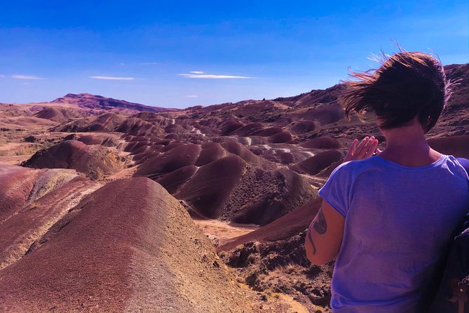 1-Day Trip to David Gareja Monastery with Rainbow Hills & Sighnaghi from Tbilisi - Introduction