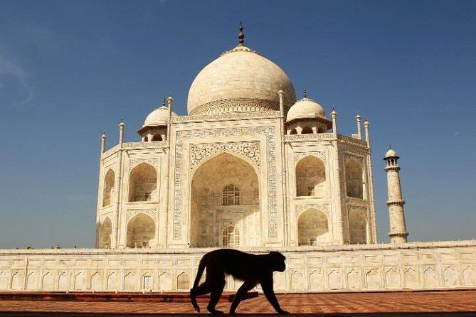 1-Day Trip to The Taj Mahal, Agra with Fatehpur Sikri from Jaipur - Transportation and Duration