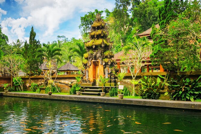 1-Day Ubud Tours All-Inclusive - A Full Day of Bali’s Best: What to Expect