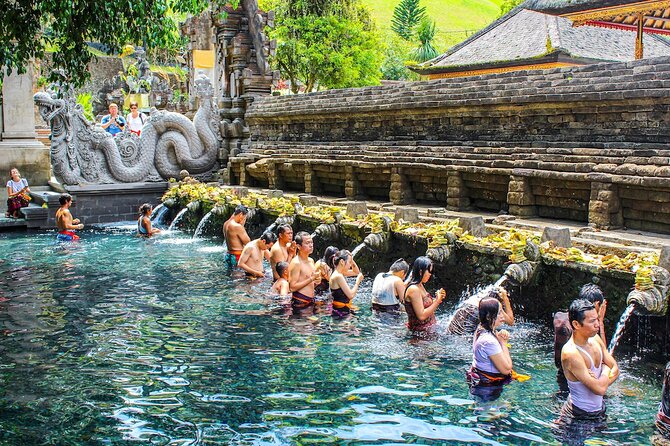 1-Day Ubud Tours All-Inclusive - The Practical Side: Transportation, Guides, and Price