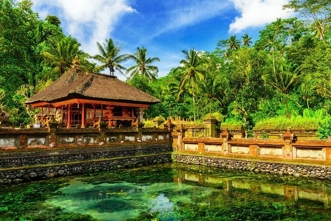 1-Day Ubud Tours All-Inclusive - Authentic Cultural Engagement and Scenic Beauty