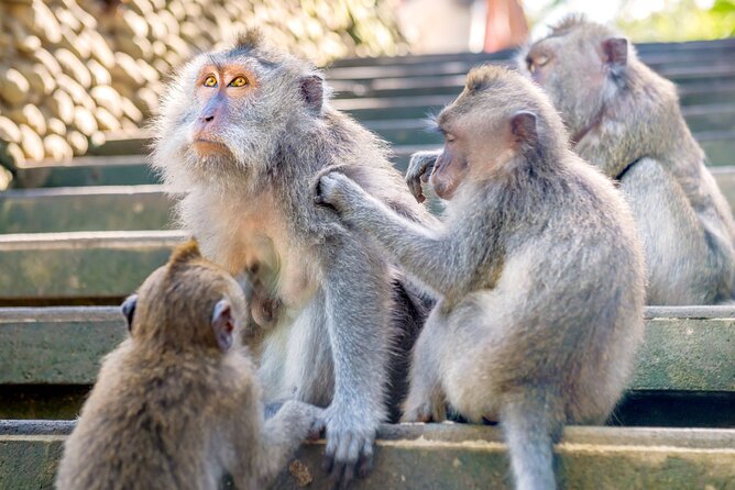 1-Day Ubud Tours All-Inclusive - Who Should Consider This Tour?