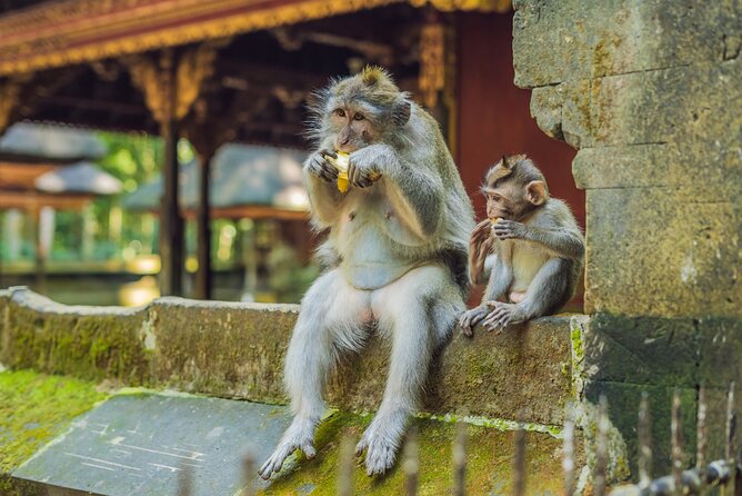 1-Day Ubud Tours All-Inclusive - The Sum Up