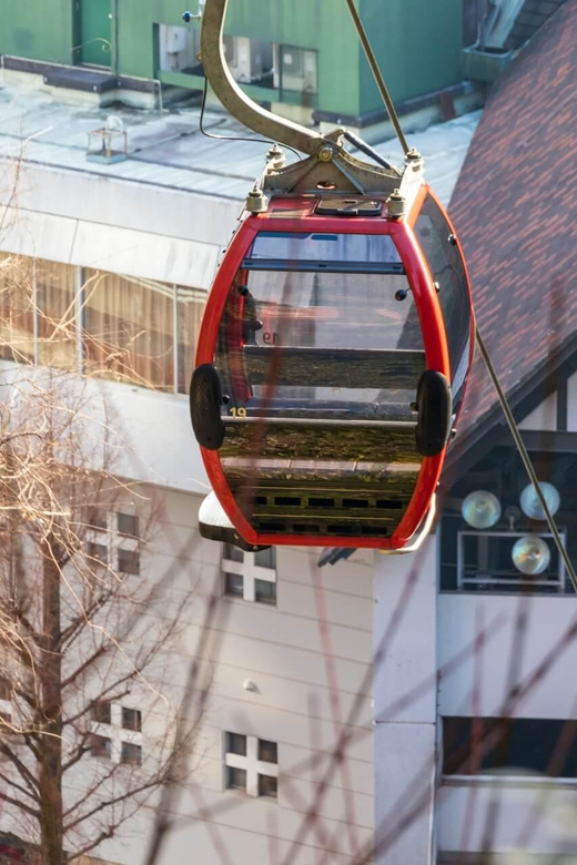 1-Day Walking Tour Around Kobe : Mountains, Sea and Sake - Kobe Chinatown (Nankin-machi)