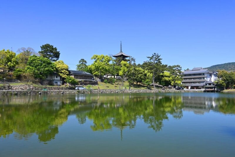 1-Day Walking Tour in Nara: Palace, Deer and Inkstick - Meeting Point