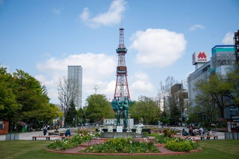 1-Day Walking Tour in Sapporo: Historical Sights of Sapporo - Accessibility and Restrictions