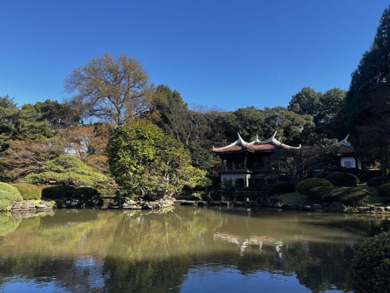 1 Day Walking Tour in Shinjuku and Shibuya: The Best of Both - Shibuya City