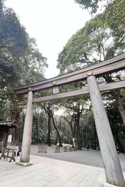 1 Day Walking Tour in Shinjuku and Shibuya: The Best of Both - Frequently Asked Questions