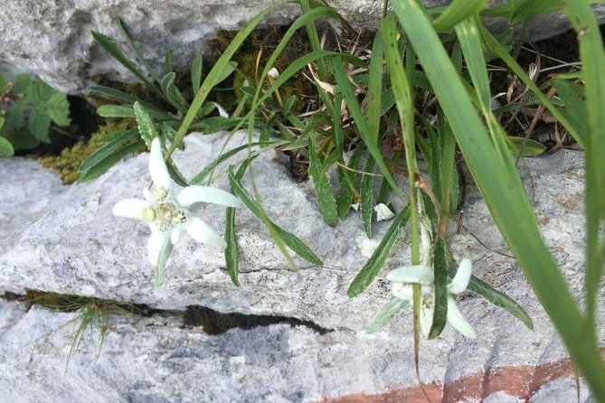 1 day White Rocks Wilderness - Vihoraski trail Hike from Zagreb - What’s Included and What to Bring