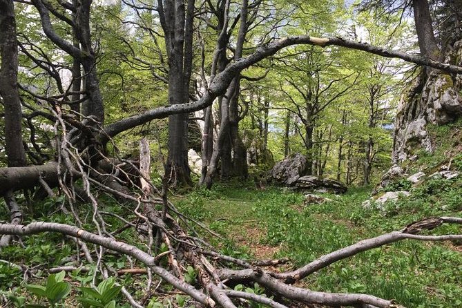 1 day White Rocks Wilderness - Vihoraski trail Hike from Zagreb - Final Thoughts: Is This Tour Worth It?