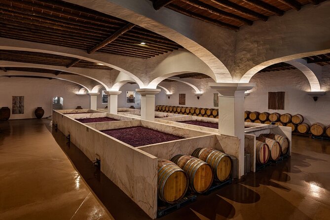 1 Day Wine Tour Around Évora - Tour Details