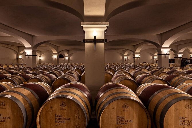 1 Day Wine Tour Around Évora - Health & Accessibility