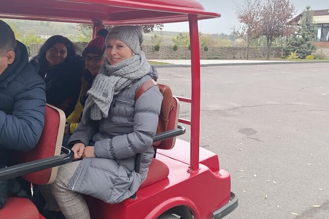 1 DAY:Chisinau Sightseeing Tour &Cricova Cellar wine Tasting - A comprehensive look at the 1-Day Chisinau Sightseeing & Cricova Cellar Wine Tasting Tour